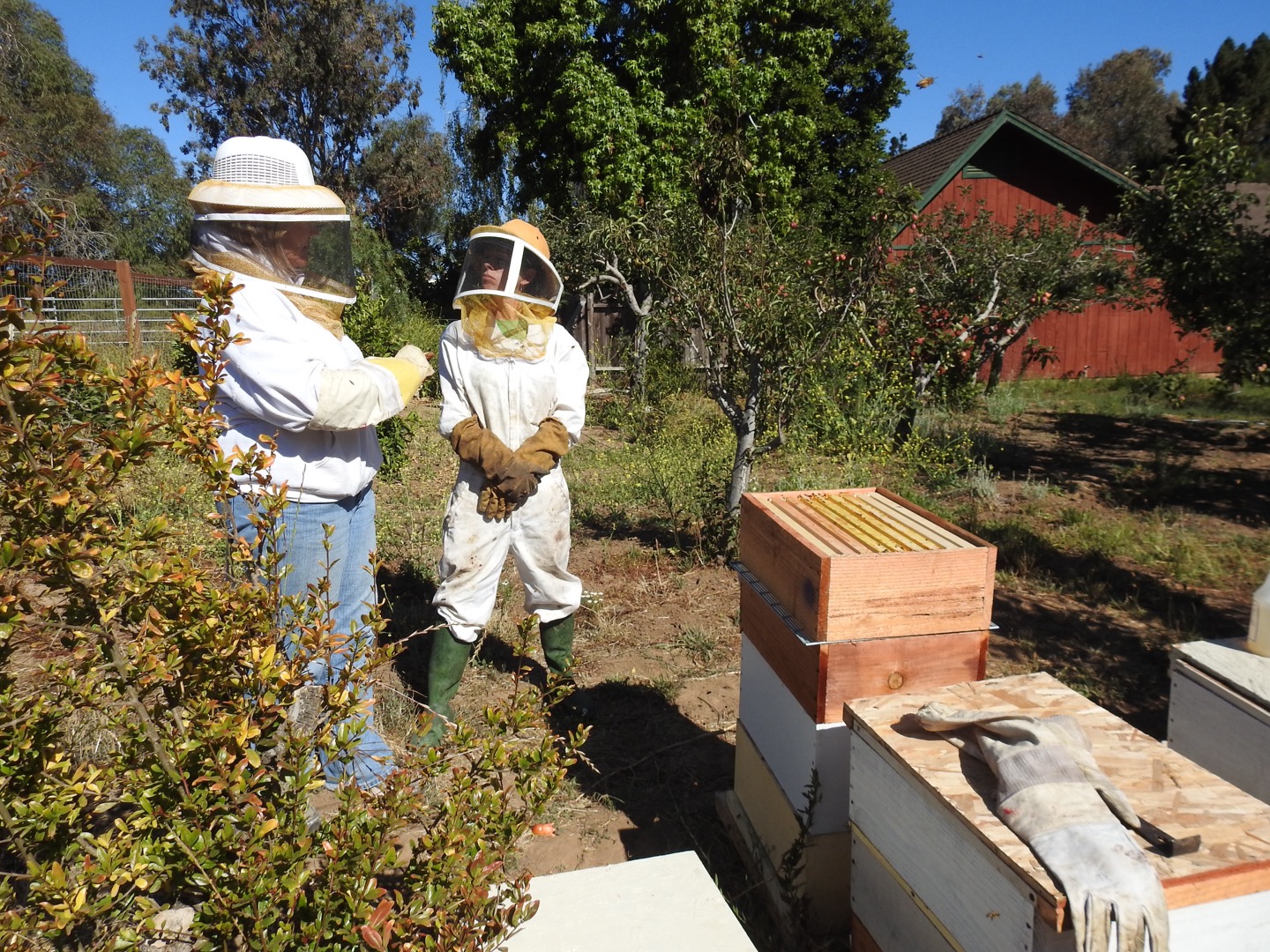 Bee Workshops | Central Coast Beekeepers' Alliance